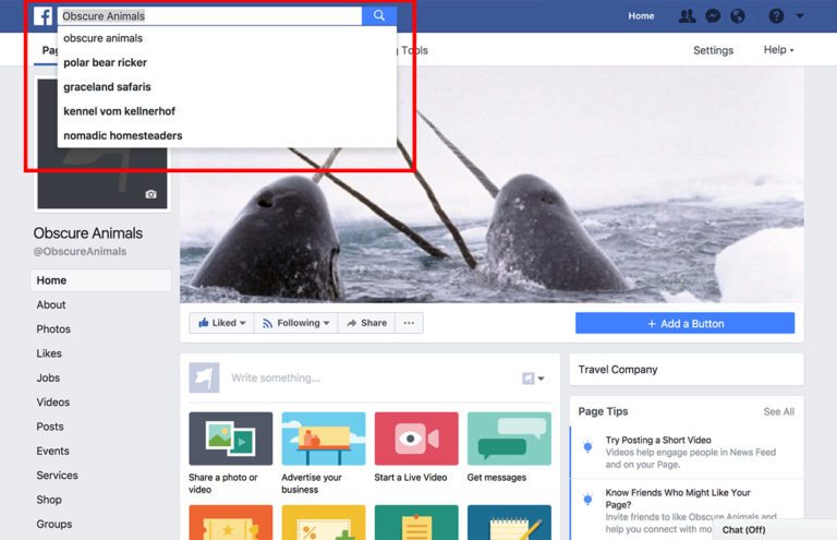 Delete a Facebook Page Forever How-To Guide With Screenshots and Added ...